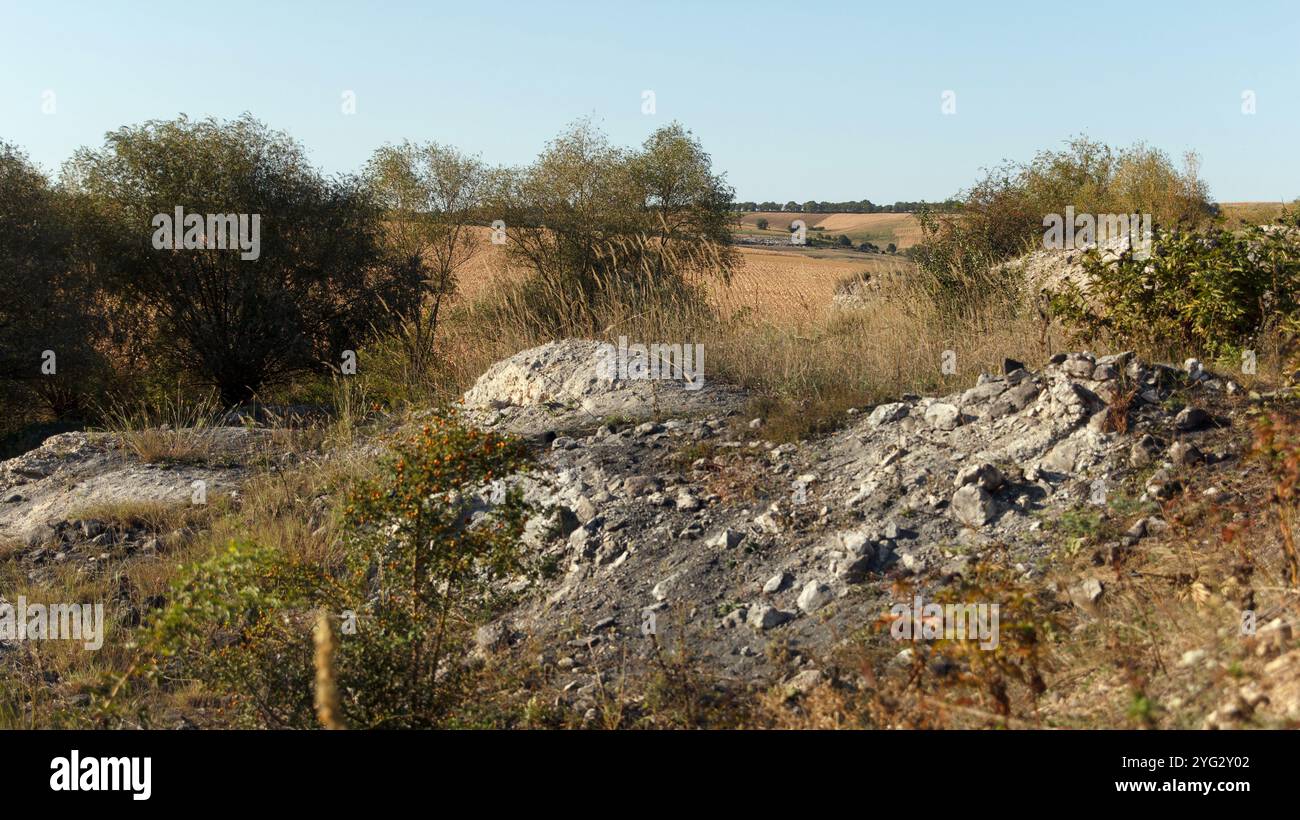 Excursion plants hi-res stock photography and images - Alamy