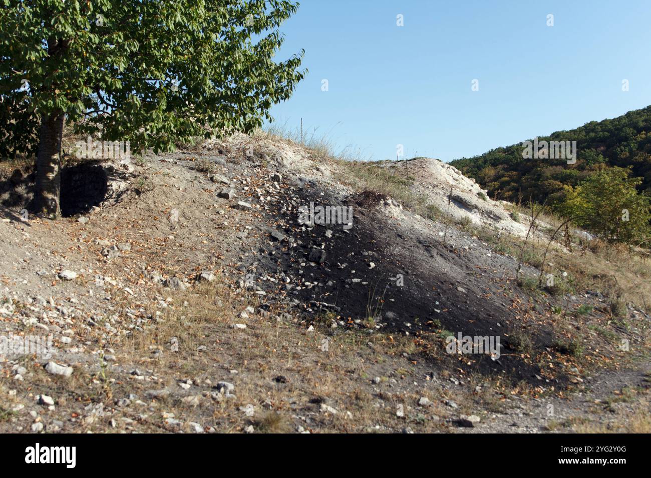 Hilly rocky terrain with plants, with forest background, nature Stock ...