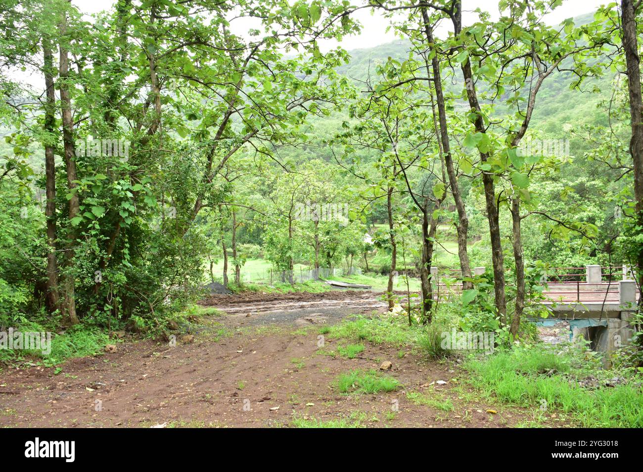 Walk of peace hi-res stock photography and images - Alamy