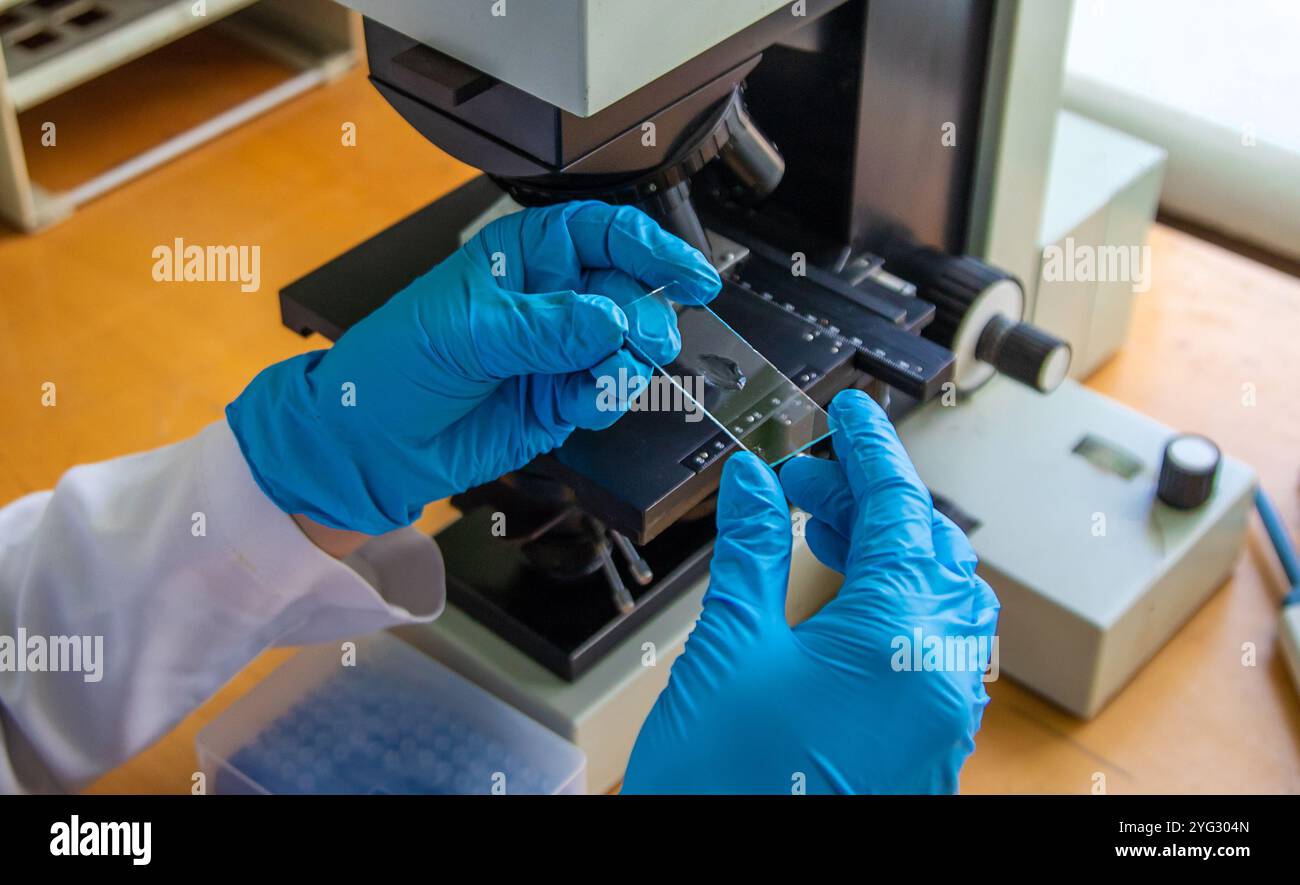 Examine in laboratory under microscope hi-res stock photography and ...