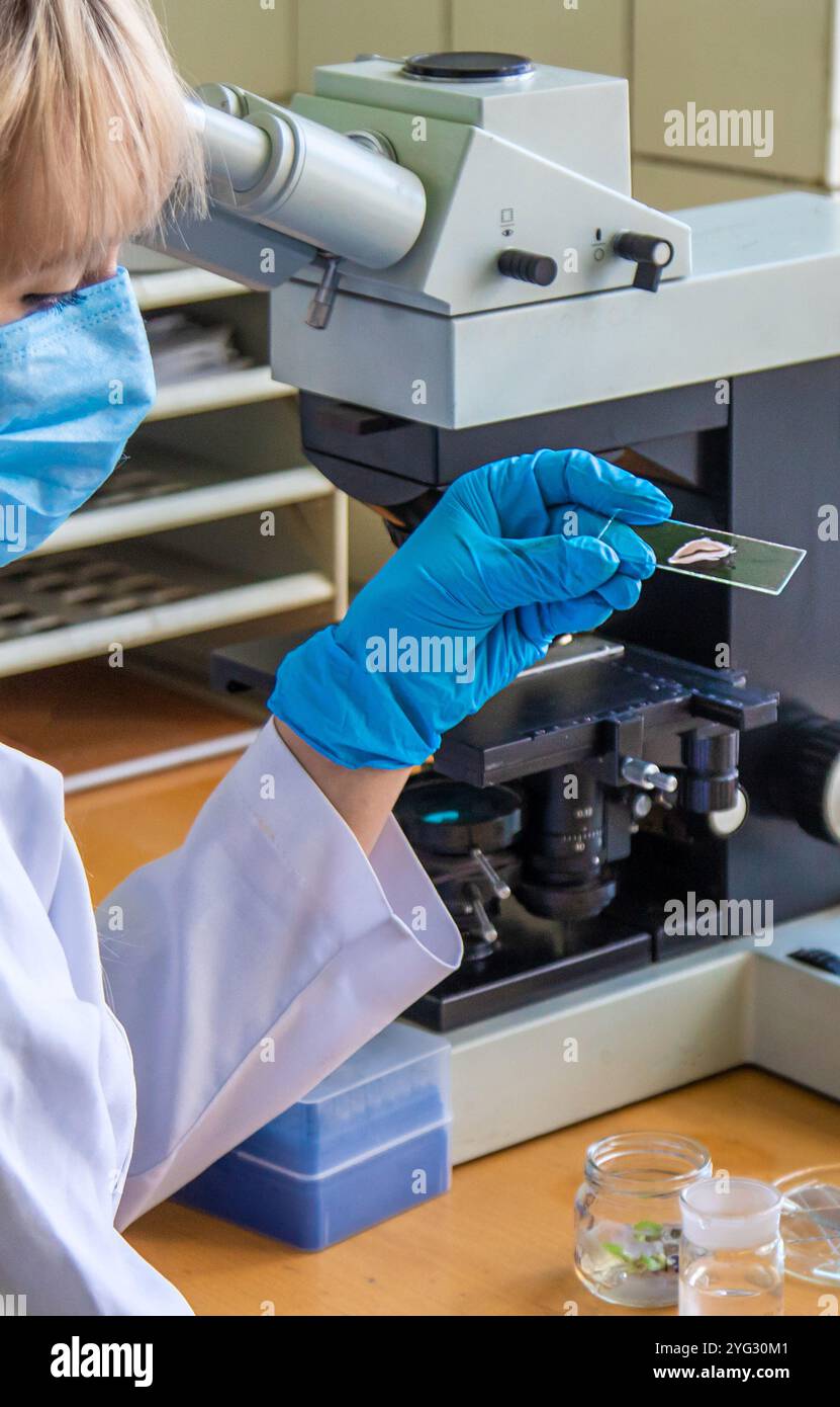 Examine in the laboratory under a microscope. Selective focus. medicine ...