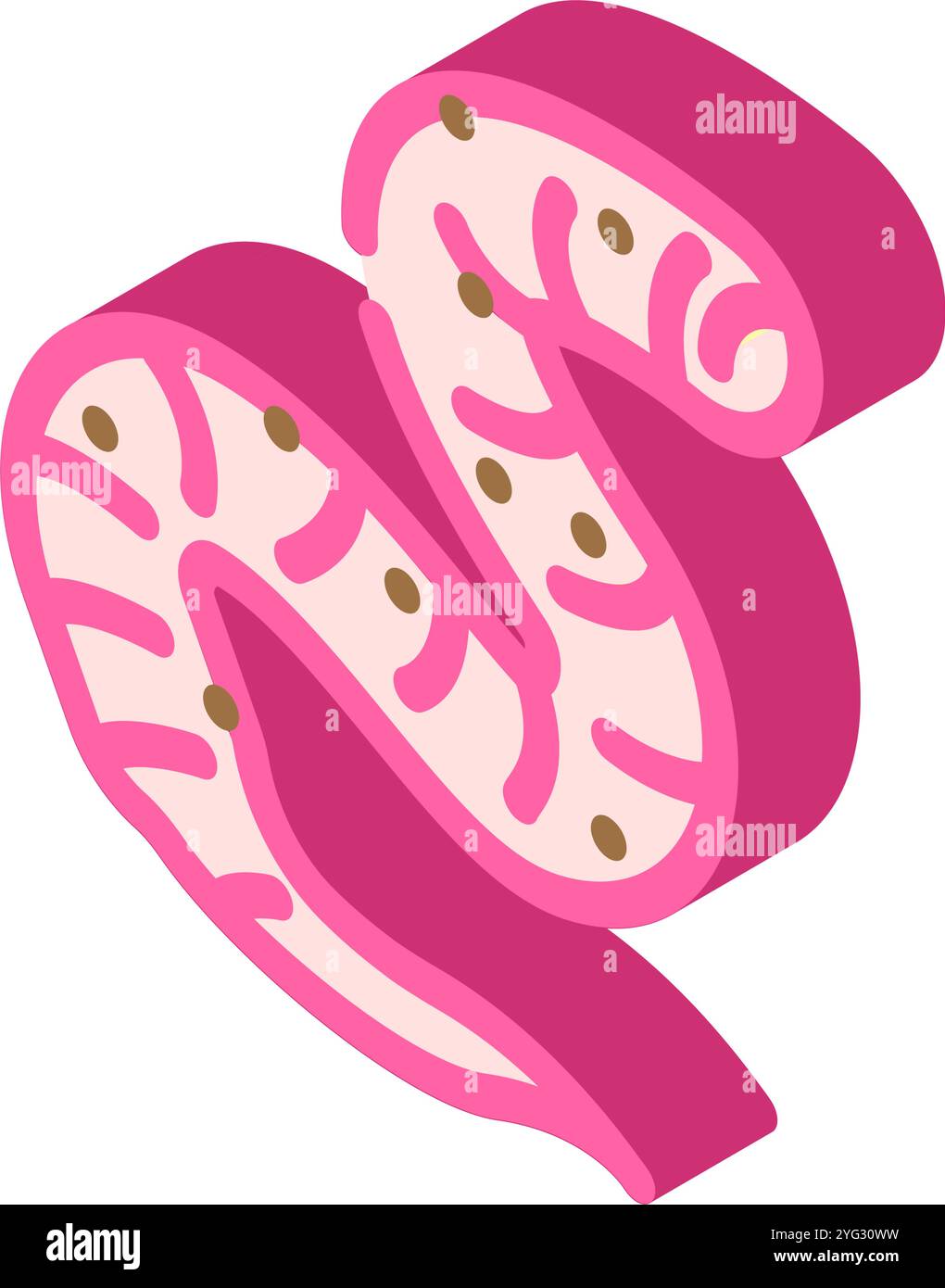 roundworm parasite isometric icon vector illustration Stock Vector ...
