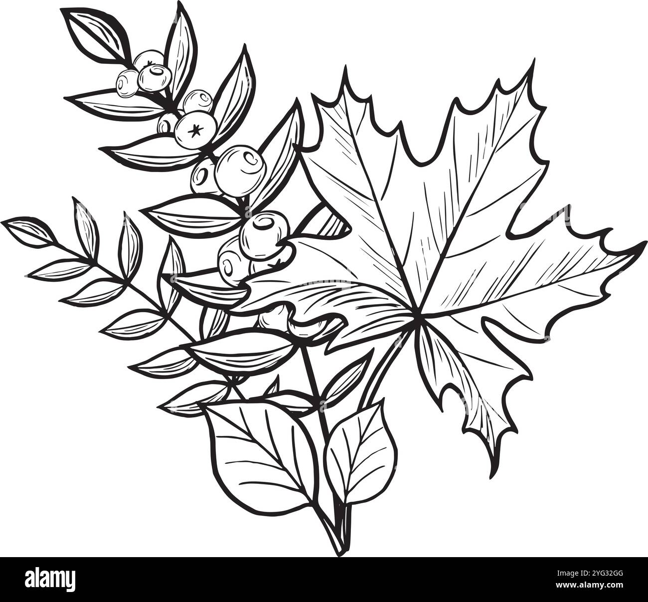 Autumn leaves bouquet sketch. Vector illustration hand drawn isolated ...