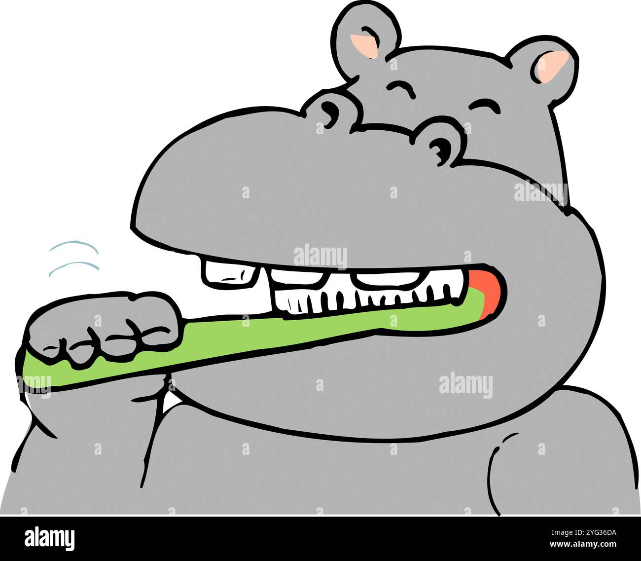 Hippo teeth brushing hi-res stock photography and images - Alamy