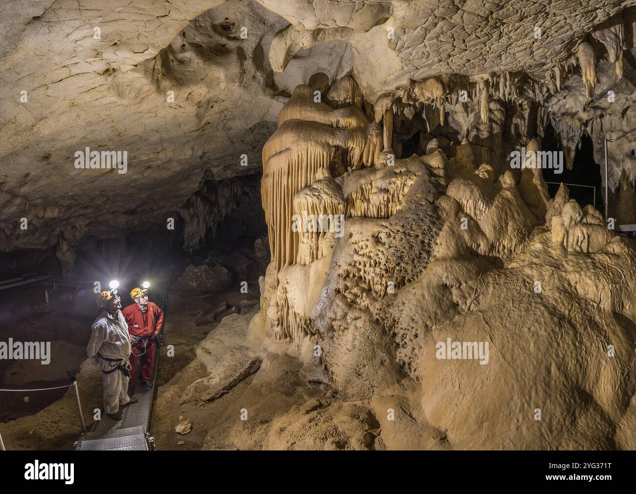 THE DISCOVERY BEGINS WITH ROOM THE ENTRANCE HALL, AND THE LARGE ...