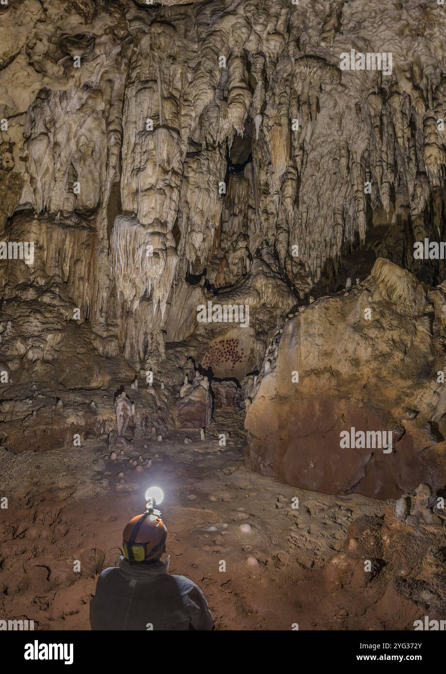 BRUNEL HALL : THE SILHOUETTE OF THE ANIMAL PUNCTUATED INDETERMINATE ...