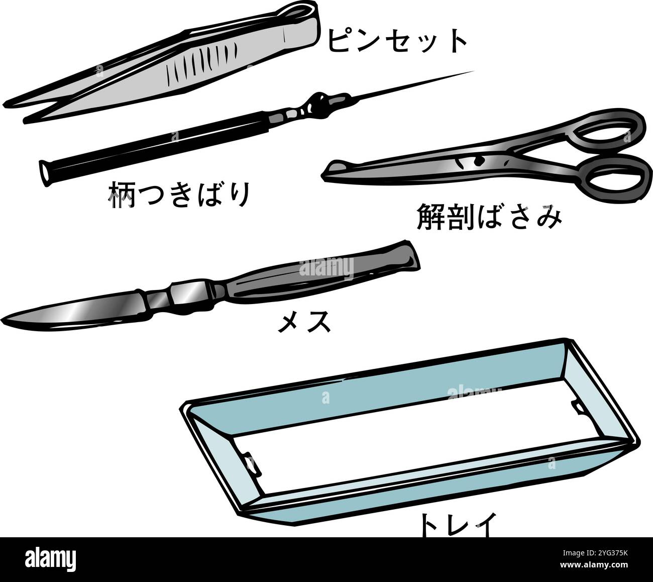 Dissection tools hi-res stock photography and images - Alamy