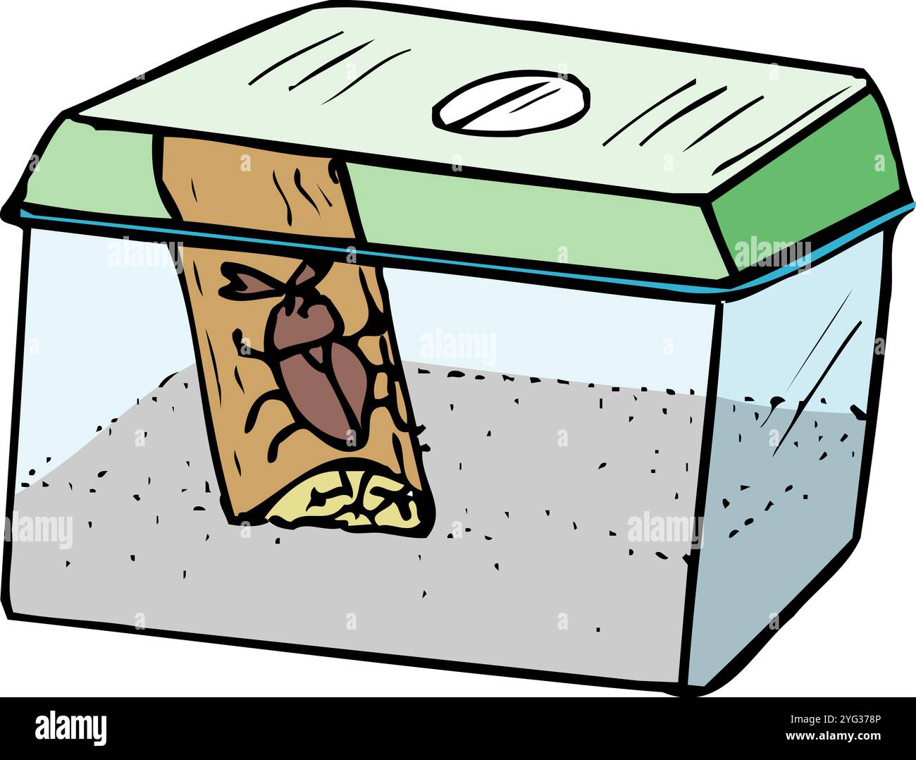 Insect illustrations hi-res stock photography and images - Alamy