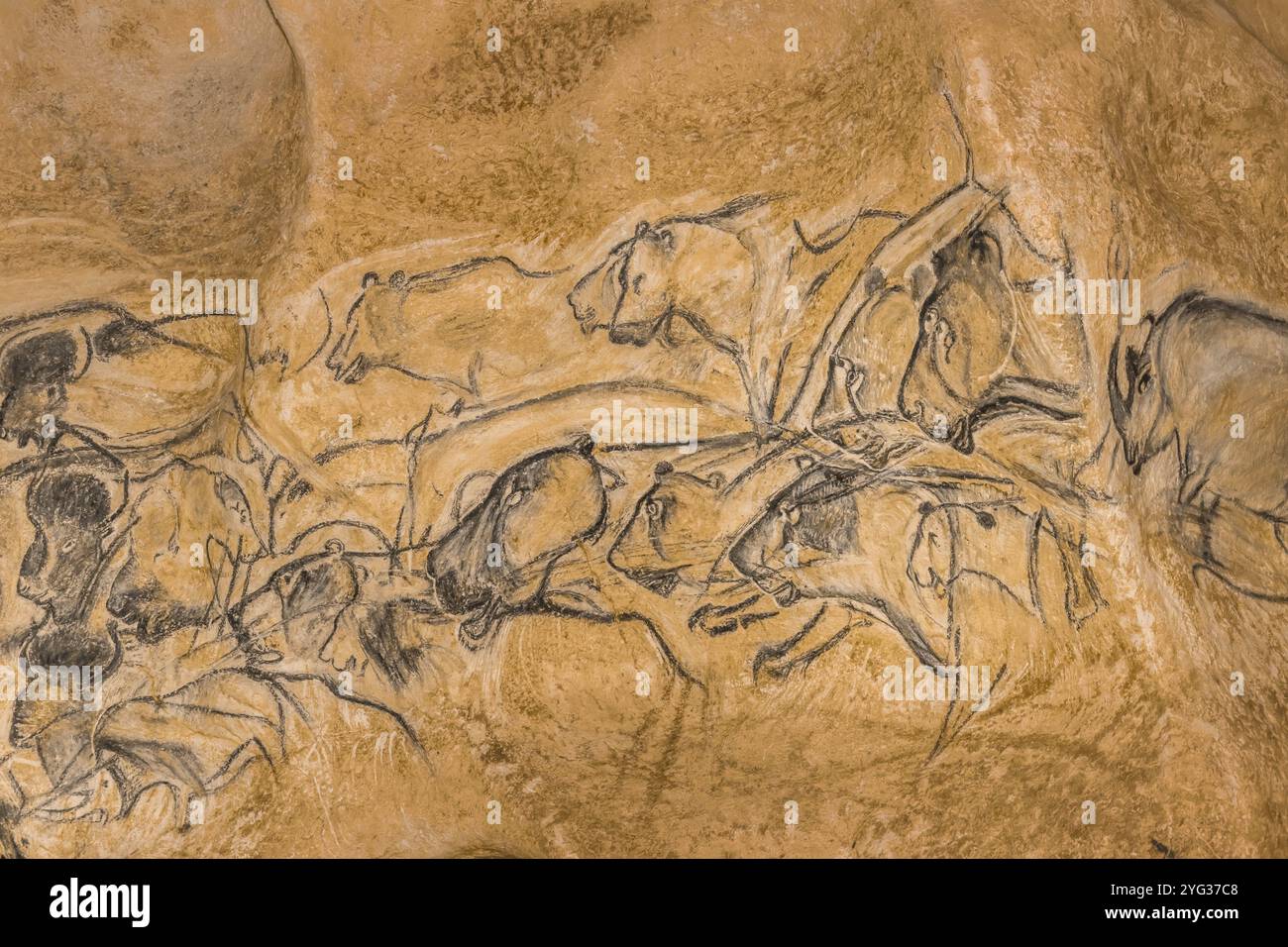 FRANCE. ARDECHE (07) - VALLON PONT D'ARC - EXCLUSIVE VISIT TO THE PONT ...