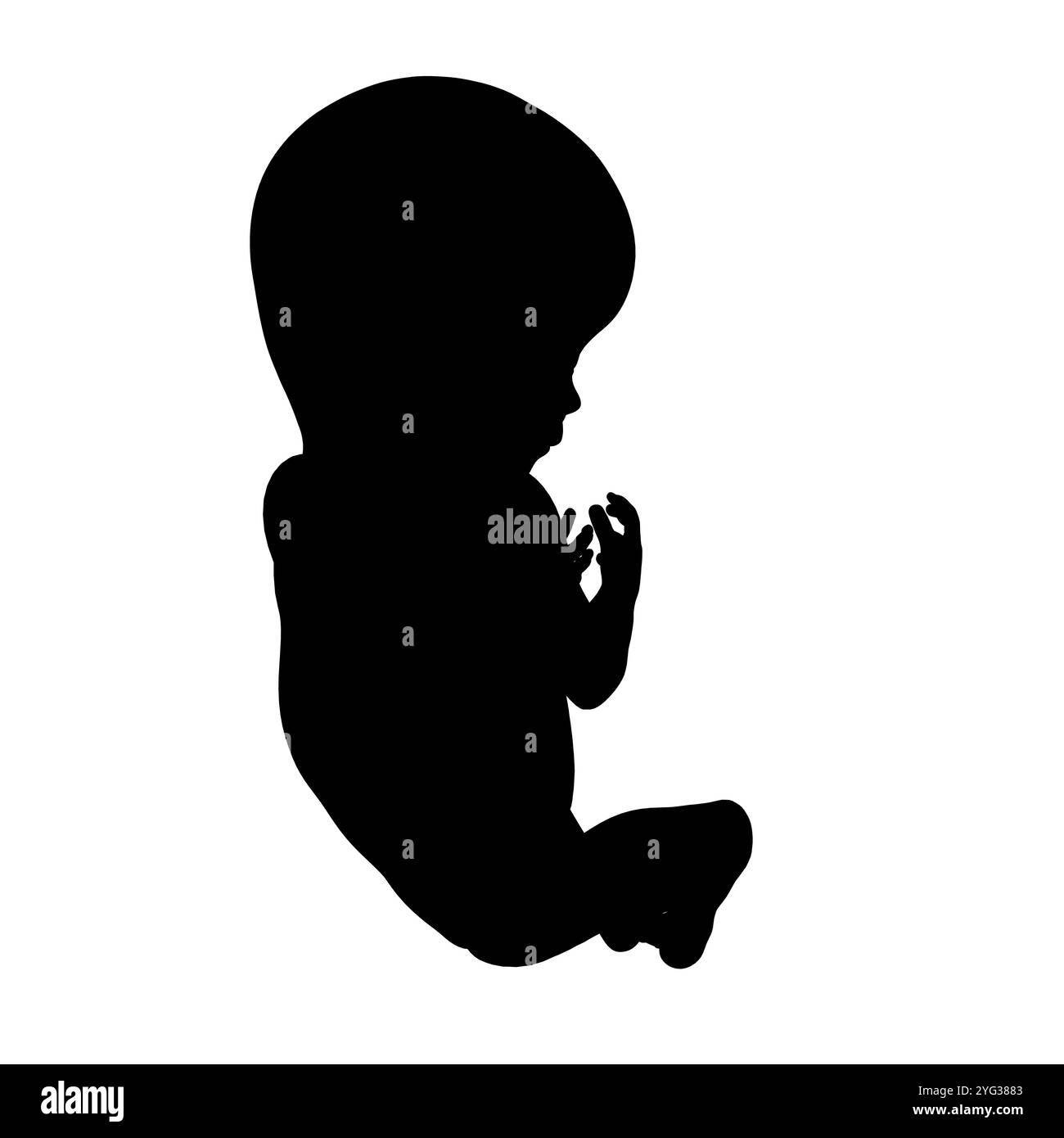 Fetus graphic icon silhouette. Embryo human silhouette sign isolated on ...