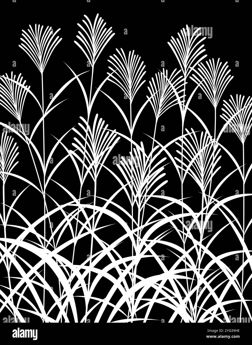 Pattern of silver grass Stock Photo - Alamy