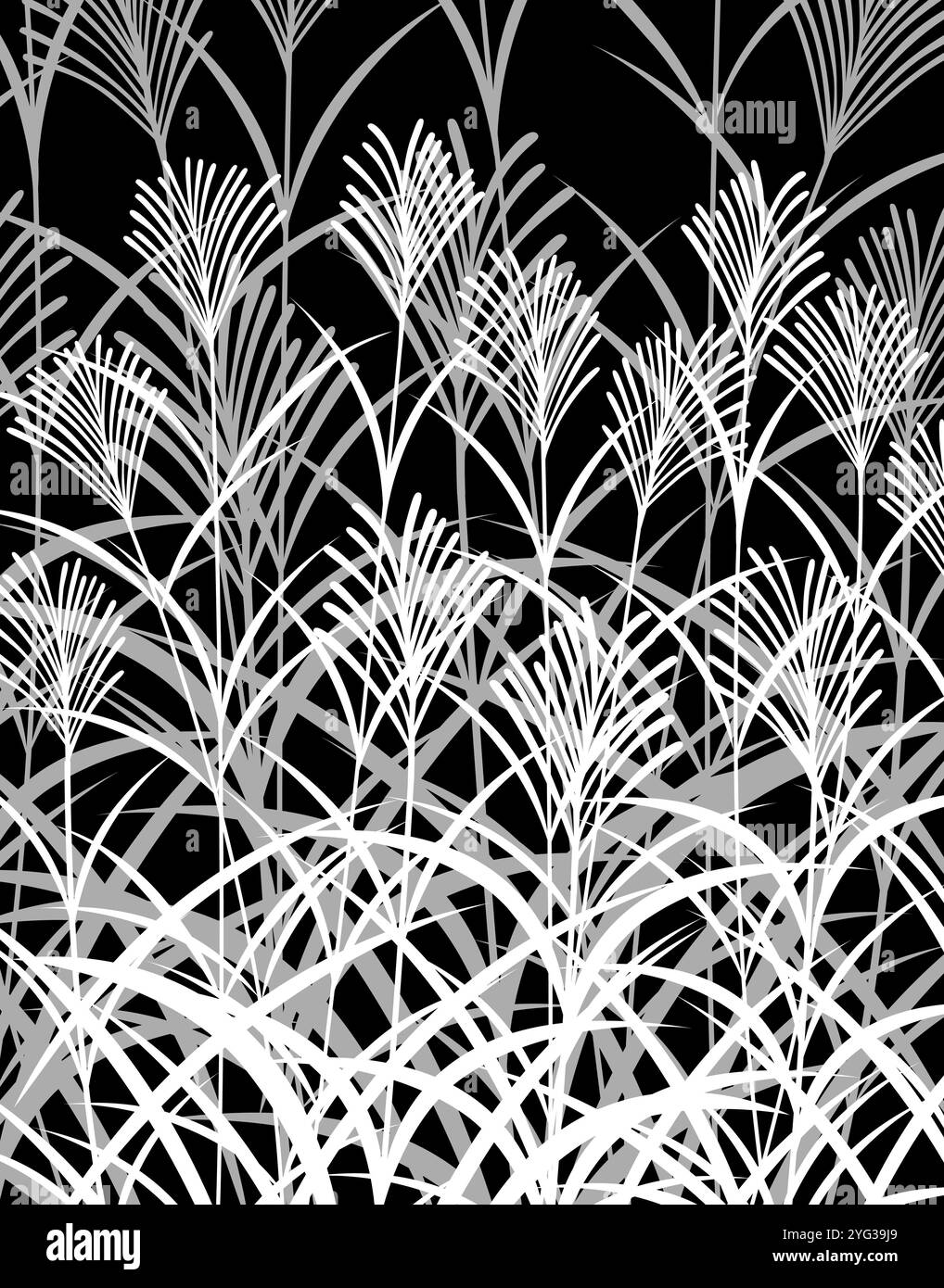 Pattern of silver grass Stock Photo - Alamy