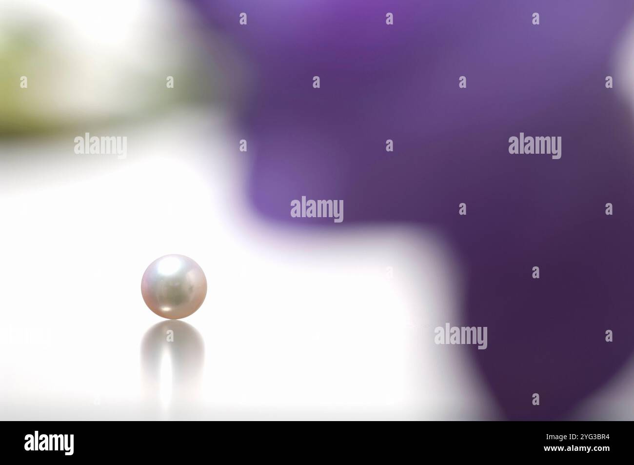 Pearl image hi-res stock photography and images - Alamy