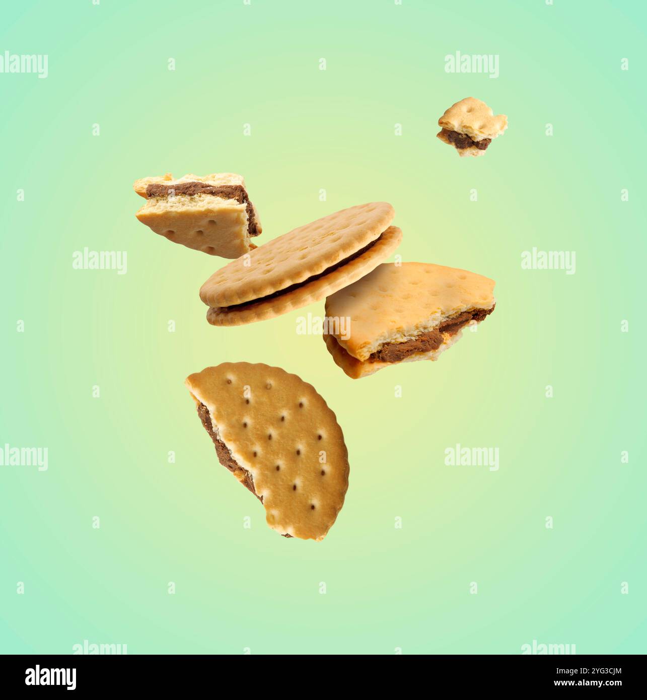 Tasty broken sandwich cookies in air on turquoise gradient background ...