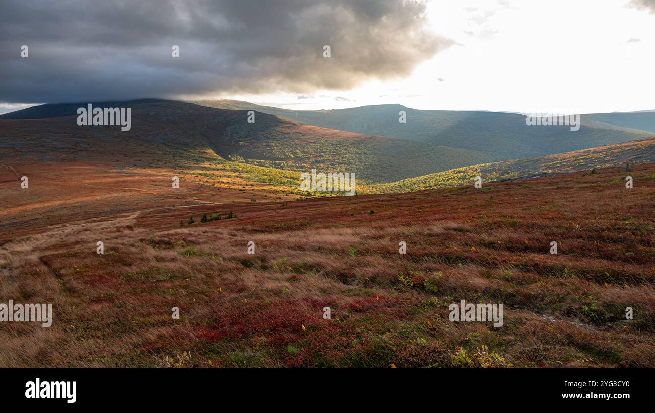 Vibrant autumn colors in the valley of the owl mountains, poland ...