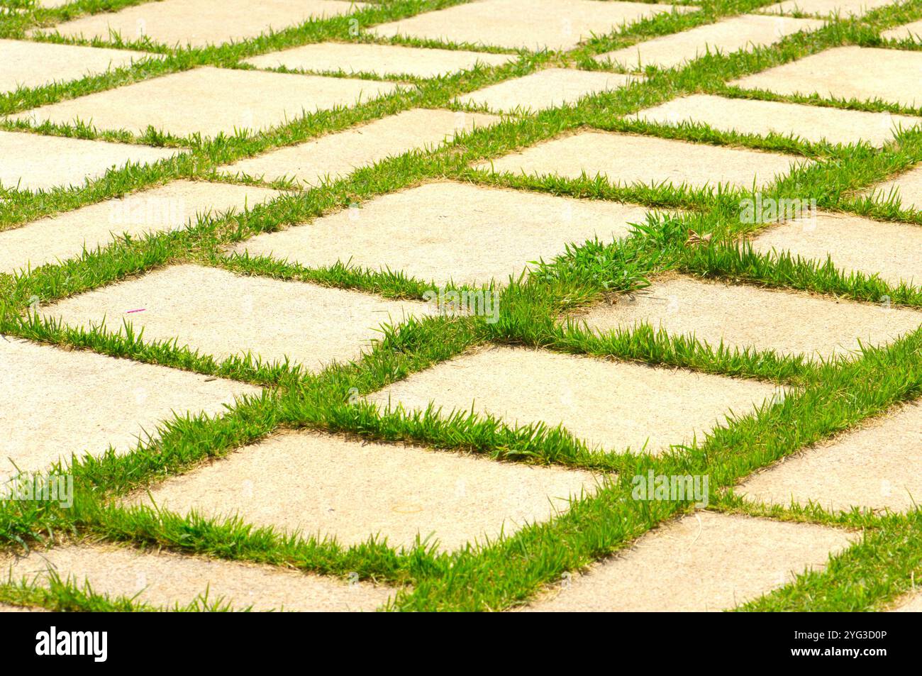 Paving stones and turf Stock Photo - Alamy