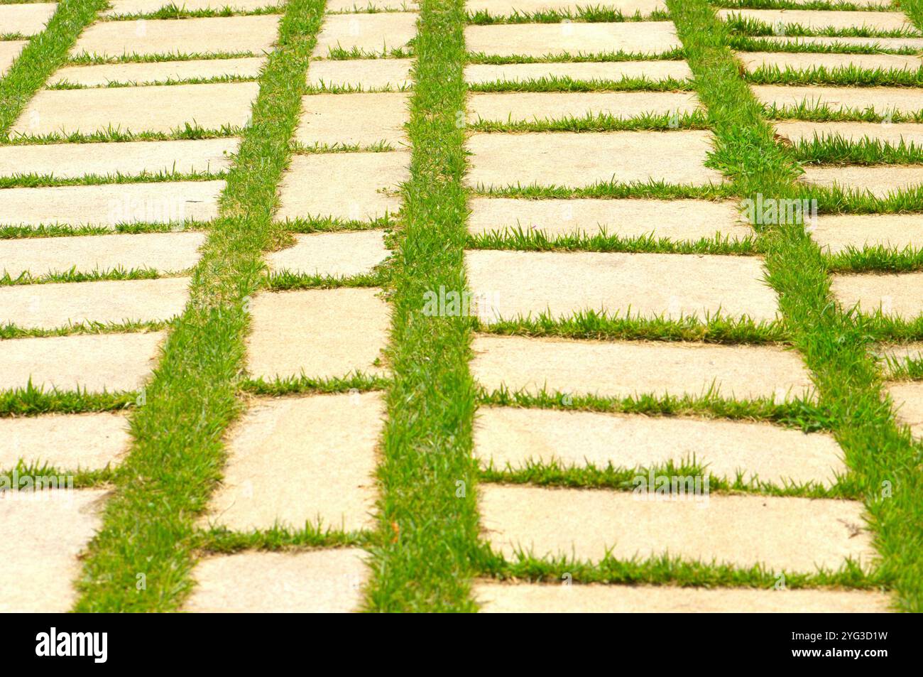 Paving stones and turf Stock Photo - Alamy