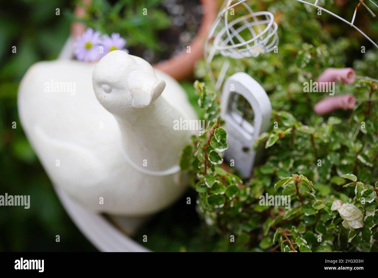 White duck objects Stock Photo - Alamy