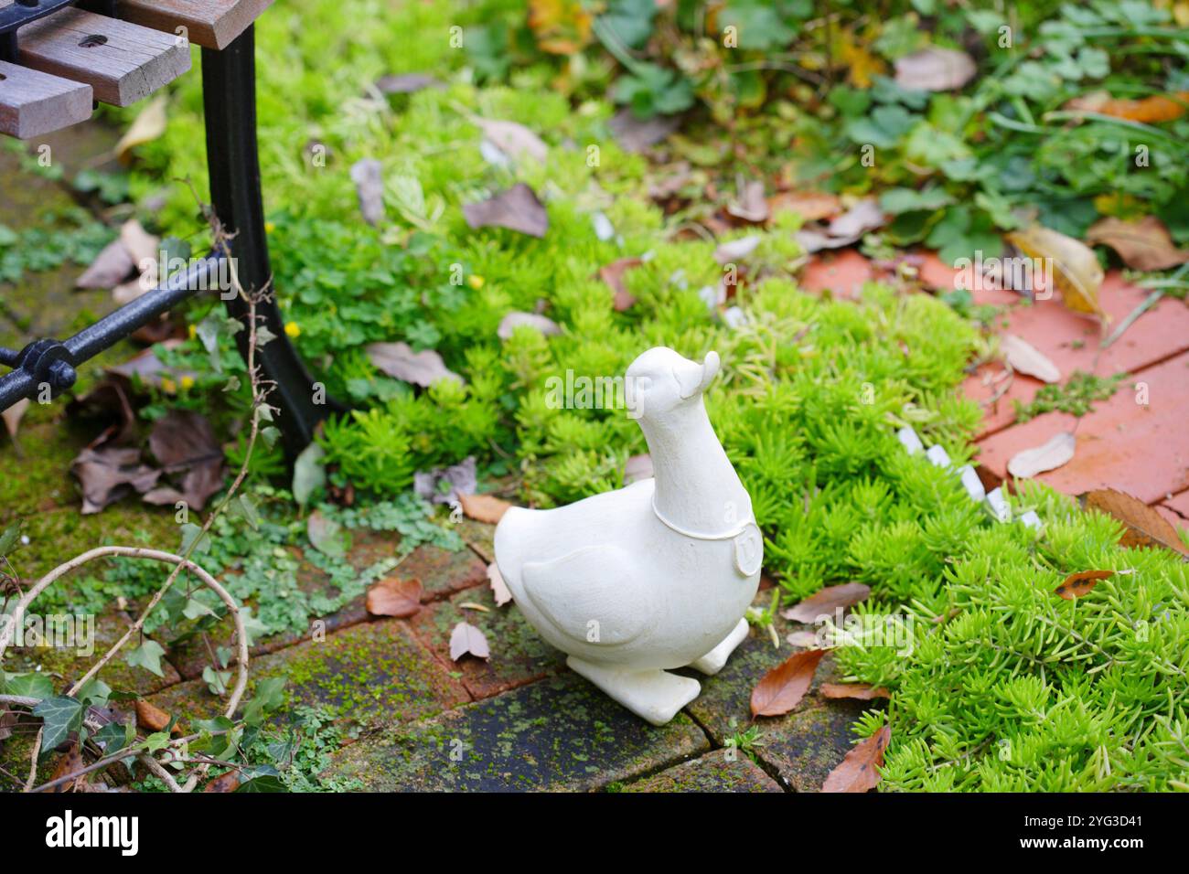 White duck objects Stock Photo - Alamy