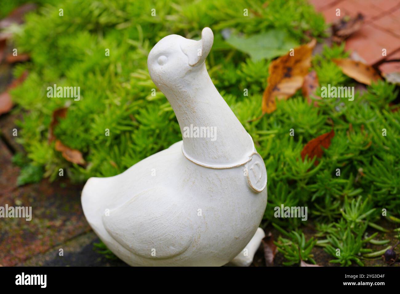 White duck objects Stock Photo - Alamy