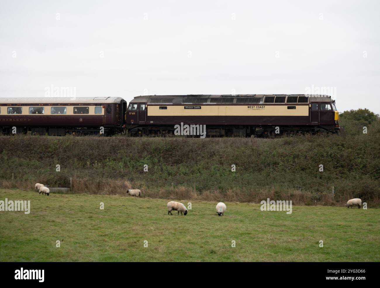 West Coast Railways class 57 diesel locomotive No. 57601 "Windsor ...