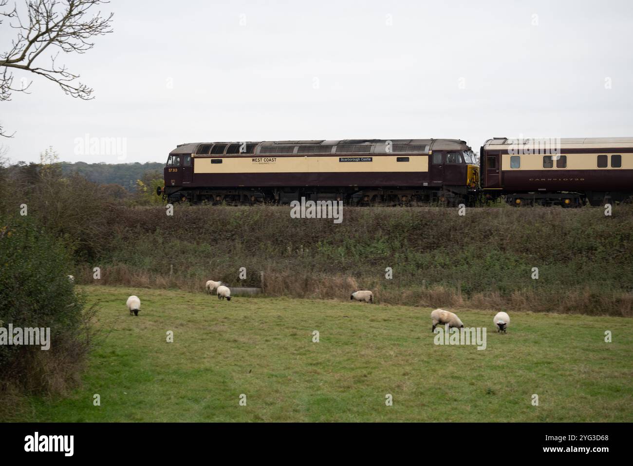 West Coast Railways class 57 diesel locomotive No. 57313 "Scarborough ...