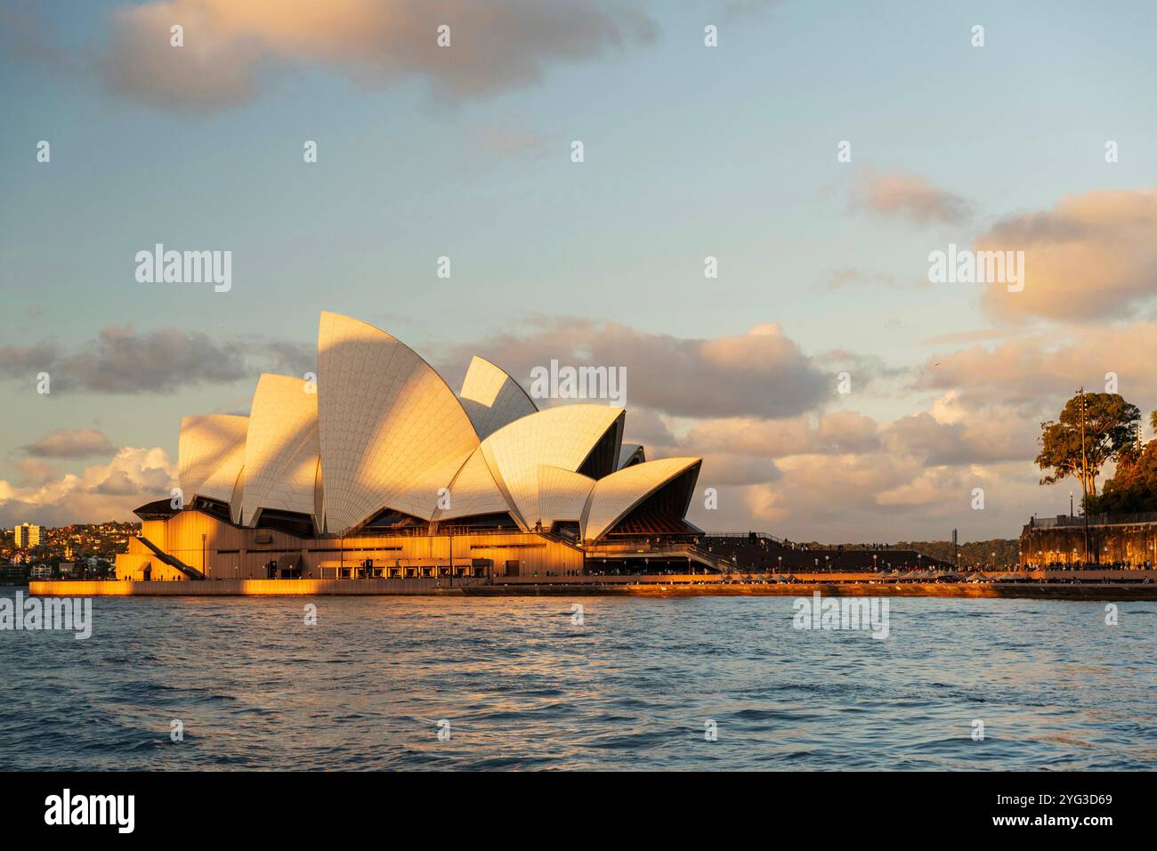 Distinctive building of Sydney Opera House in sunset light. It is the ...