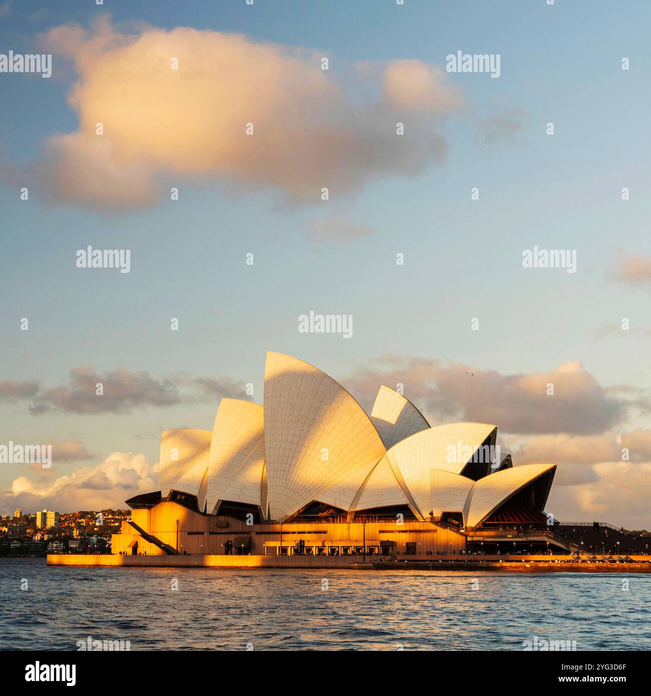 Distinctive building of Sydney Opera House in sunset light. It is the ...