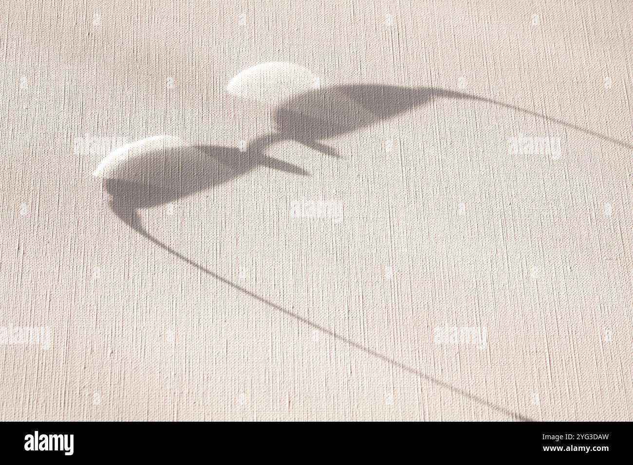 Shadow frames hi-res stock photography and images - Alamy