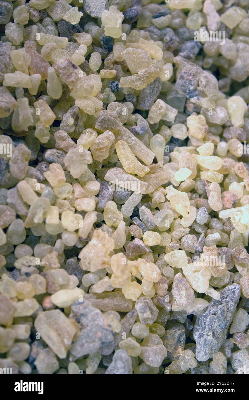 Large quantity of frankincense Stock Photo - Alamy