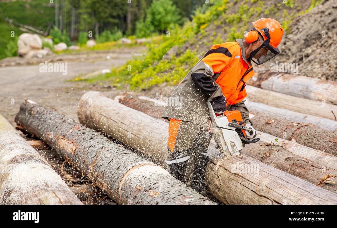 Lumberjack logger worker in protective hi-res stock photography and ...