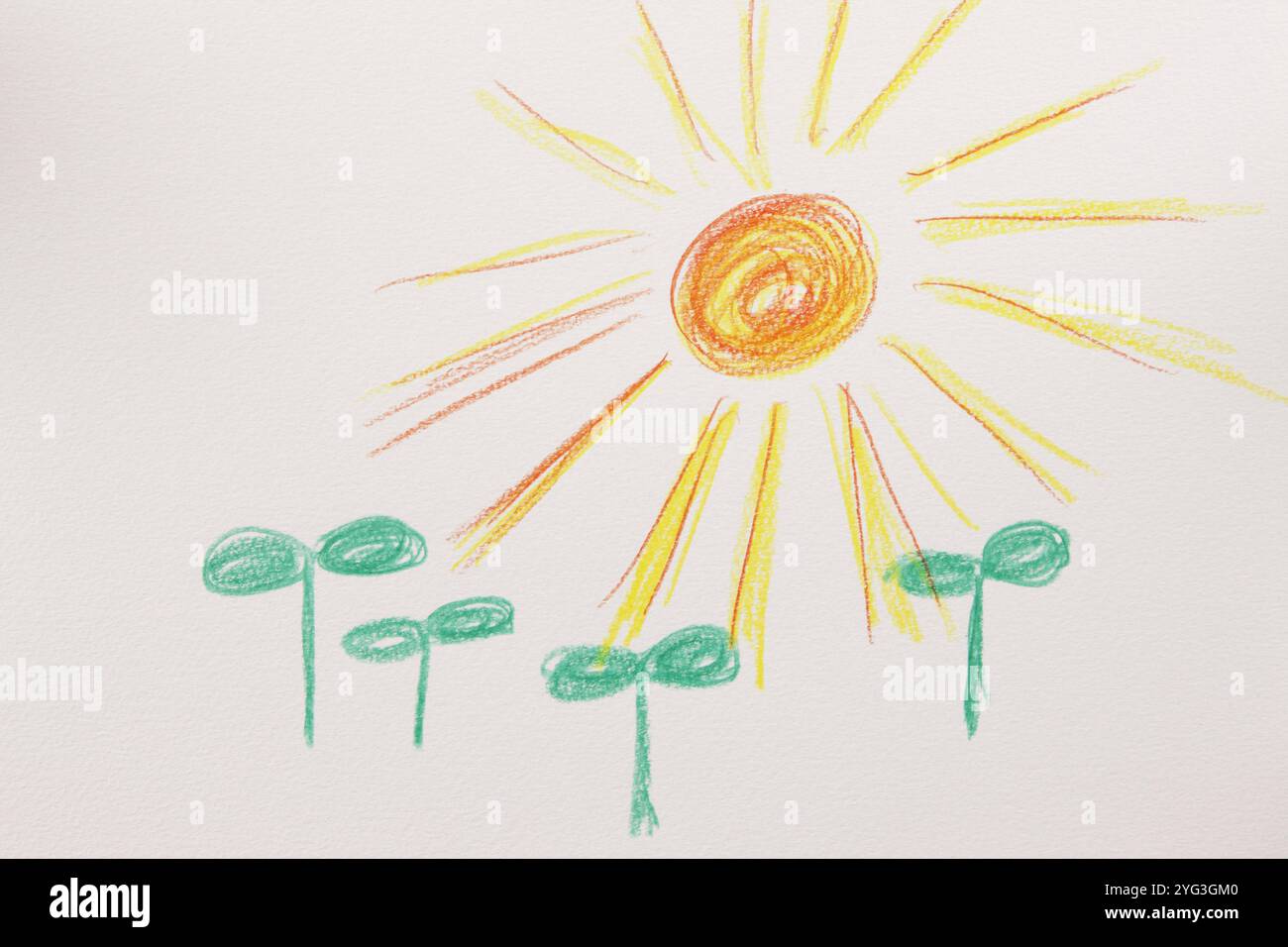 Futaba and a picture of the sun Stock Photo - Alamy