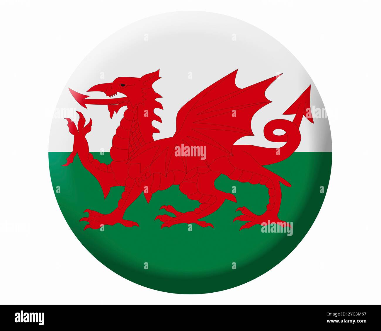 Welsh national symbol Cut Out Stock Images & Pictures - Alamy