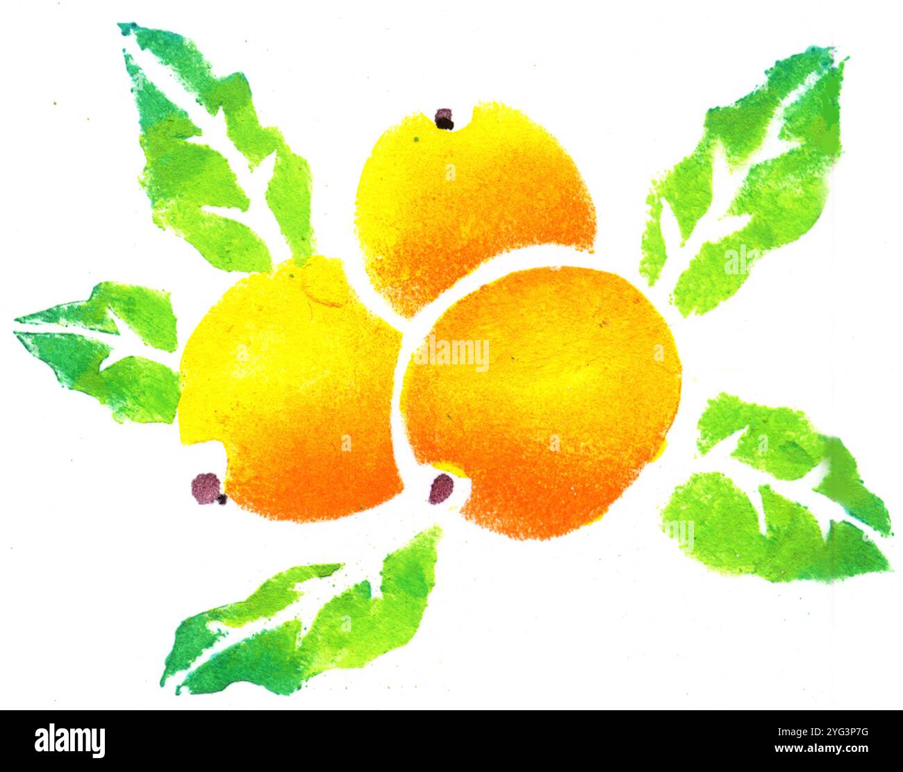 Biwa Cut Out Stock Images & Pictures - Alamy