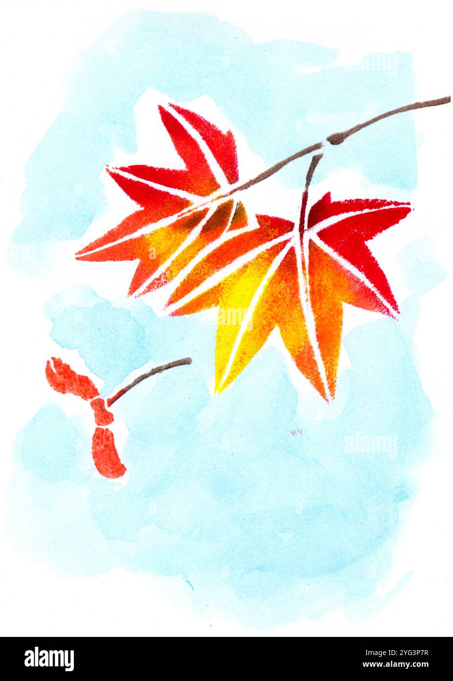 Momiji (Japanese maple tree Stock Photo - Alamy