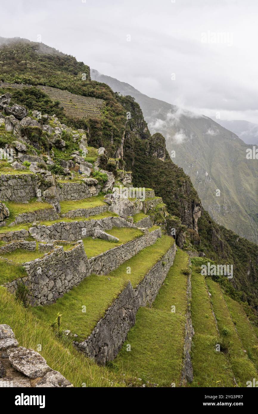 Terraces used for farming at Machu Picchu, Machu Picchu, Cusco Region ...