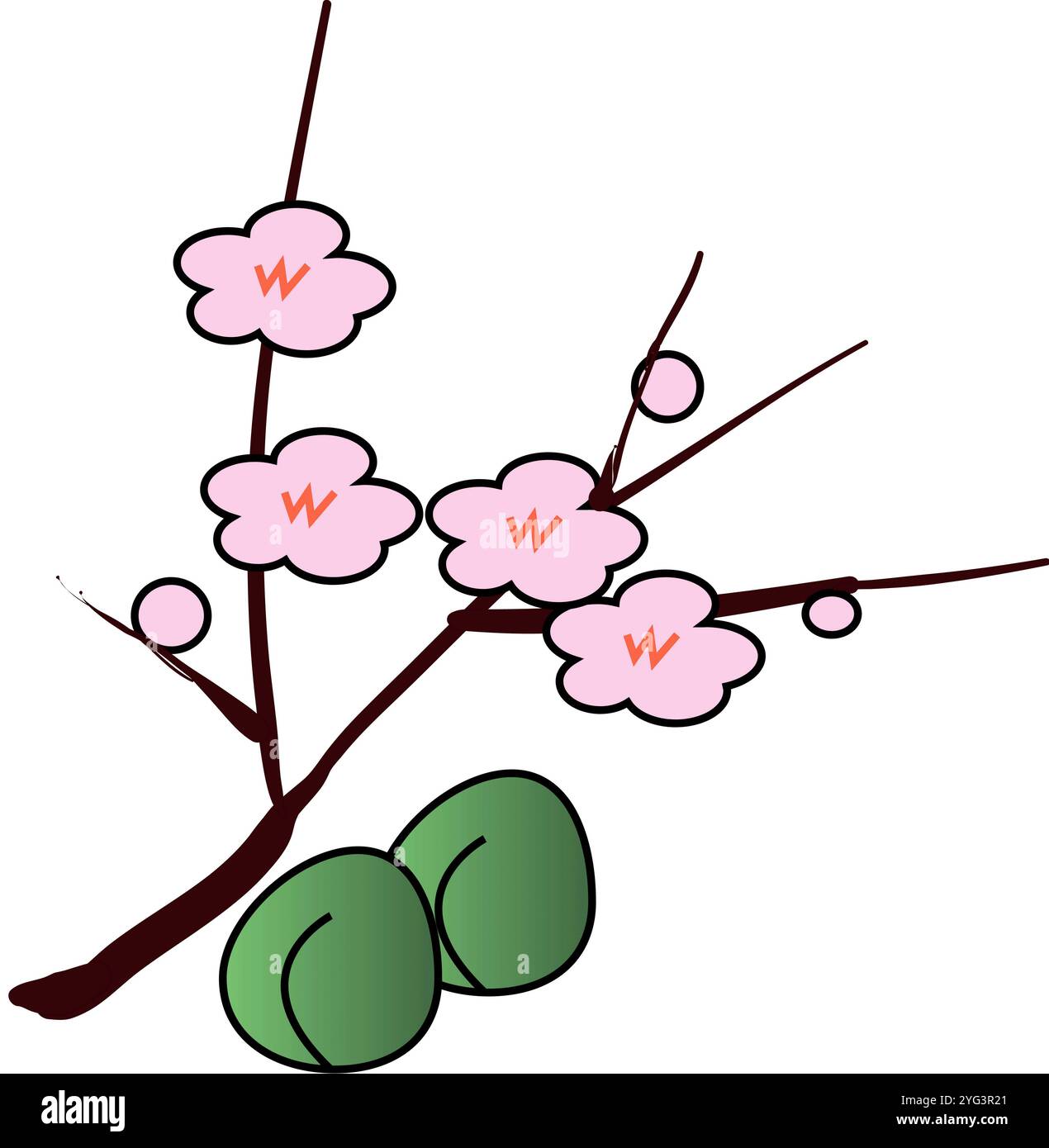 Prunus mume fruit hi-res stock photography and images - Alamy