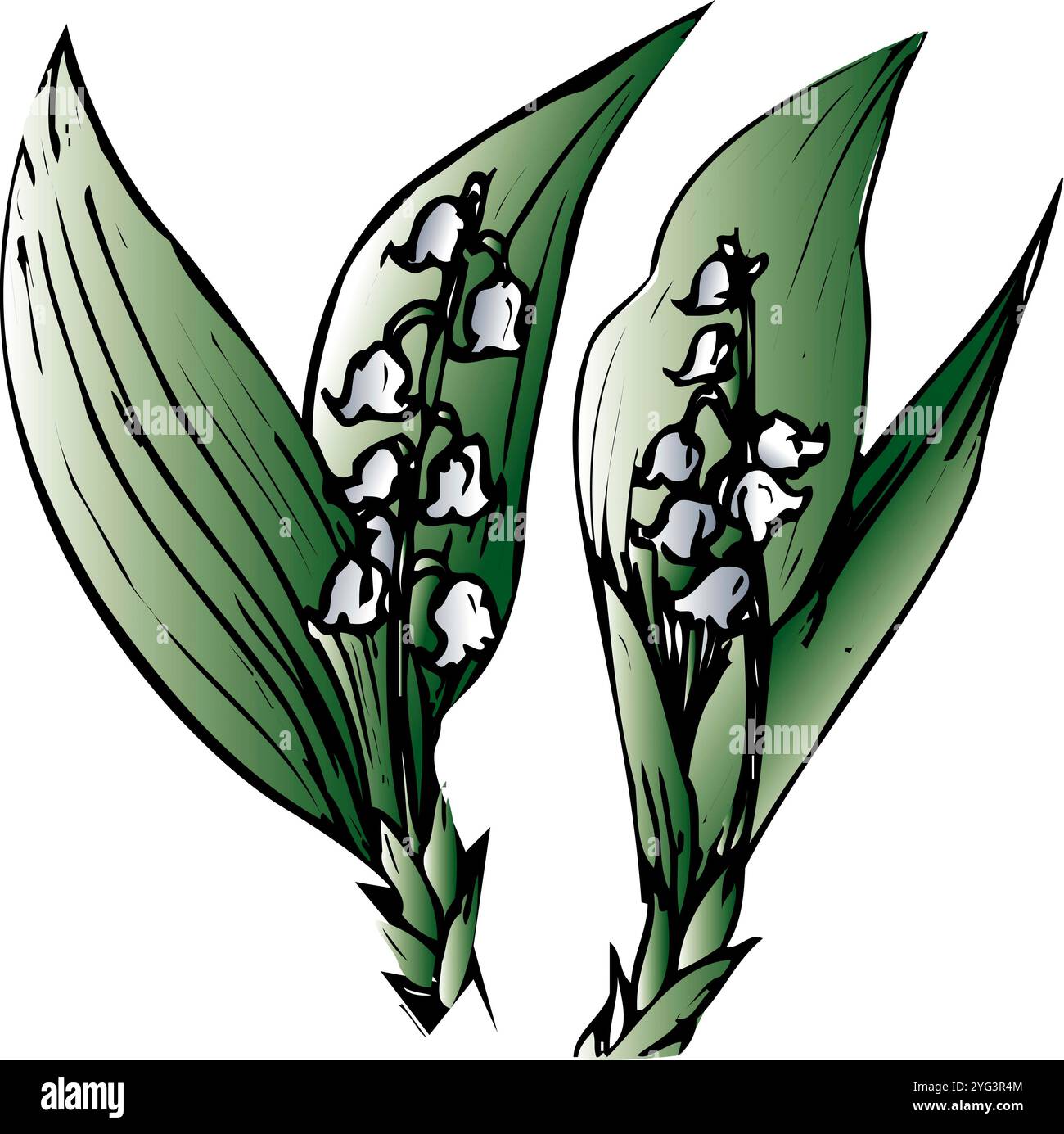 Suzuran hi-res stock photography and images - Alamy