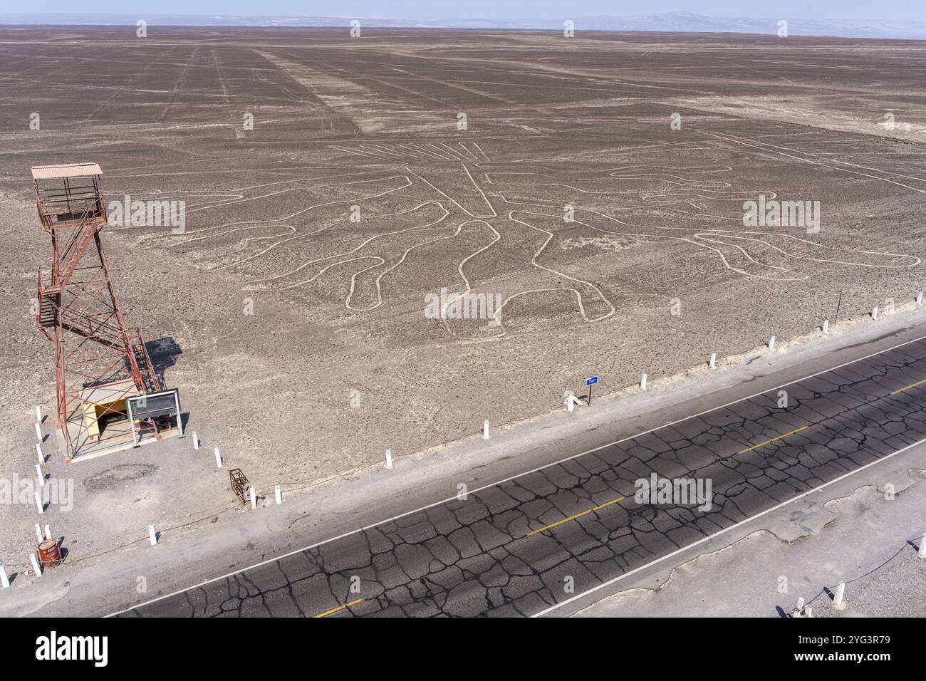 Aerial, The Tree, Nazca geoglyph, Nazca Lines, Nazca, Peru, South ...