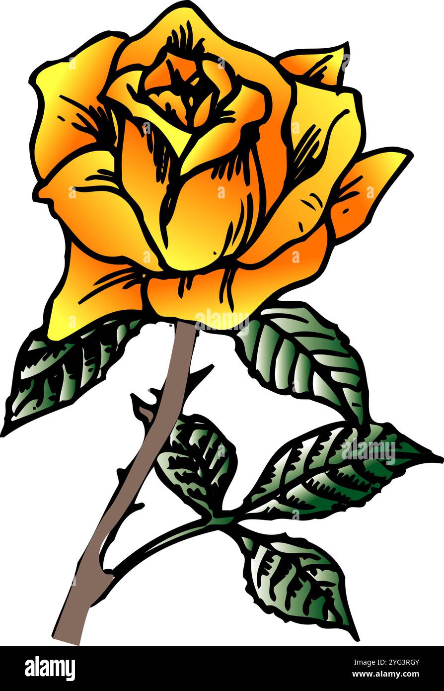 Rose (cool water Stock Photo - Alamy