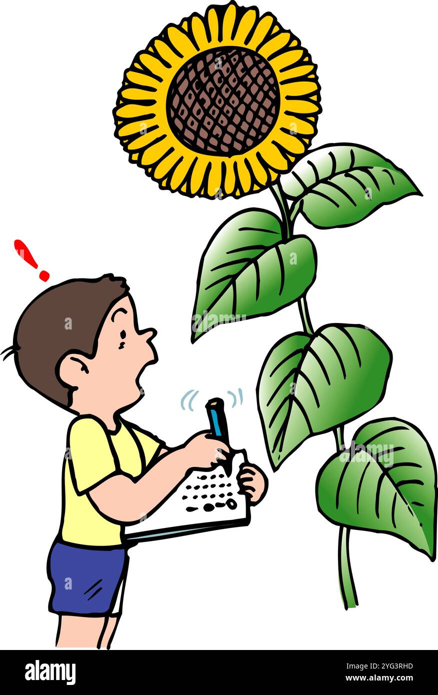 Observation Cut Out Stock Images & Pictures - Alamy