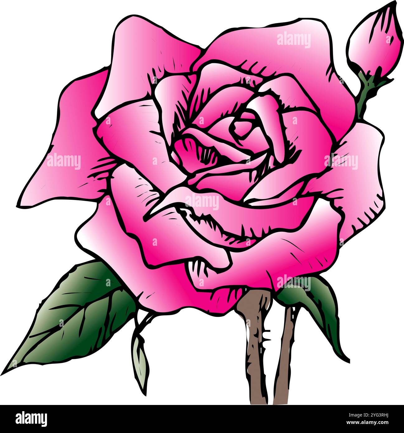 Rose (cool water Stock Photo - Alamy