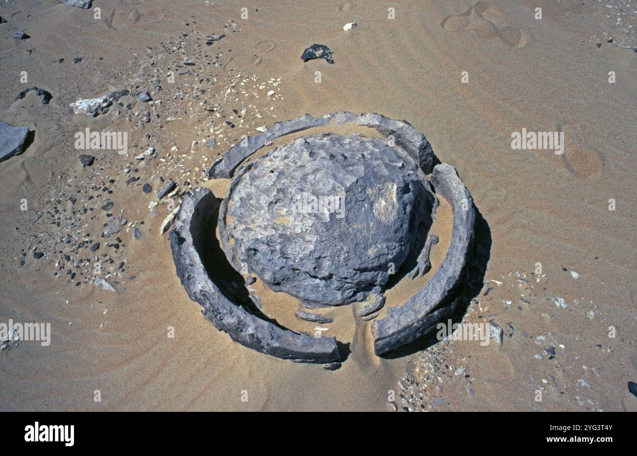 Silicified marble sphere, Libyan Desert, Egypt, Africa Stock Photo - Alamy