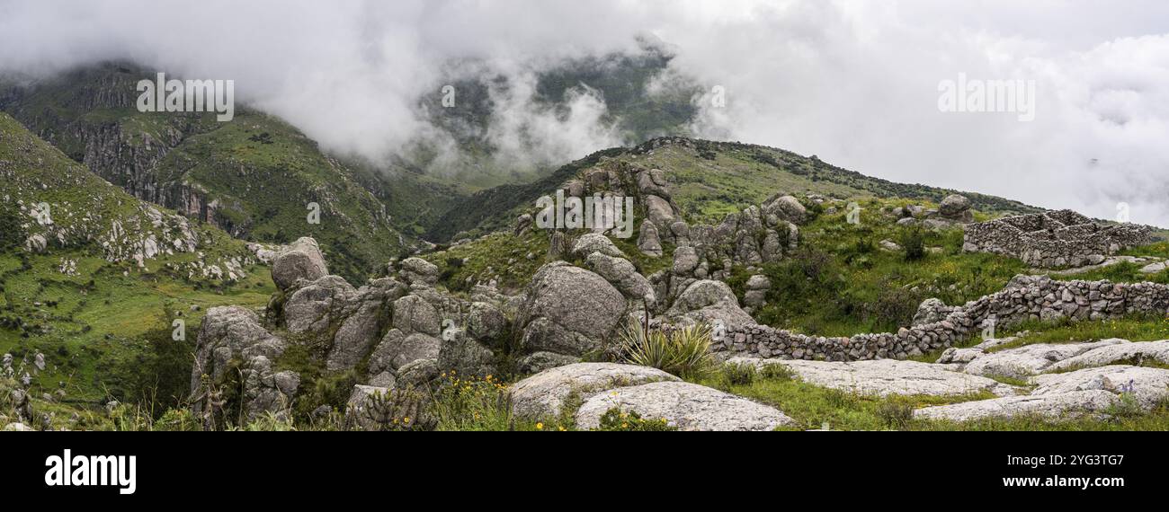 Peruvian highland vegetation, Crossing the Andes from Cuscu towards ...