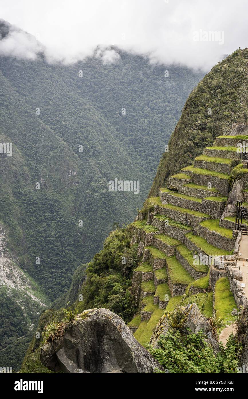 Terraces used for farming at Machu Picchu, Machu Picchu, Cusco Region ...