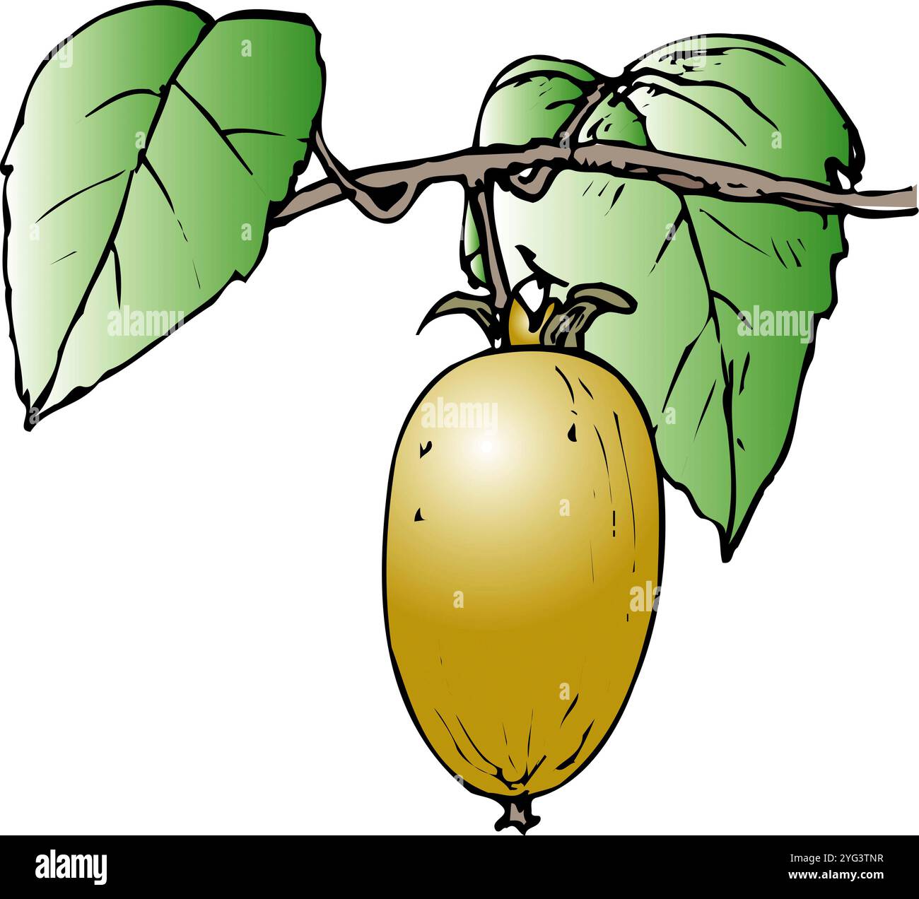 Matatabi hi-res stock photography and images - Alamy