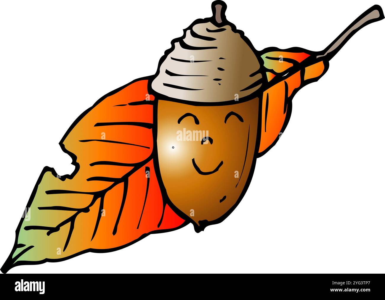 Acorn tree Cut Out Stock Images & Pictures - Alamy