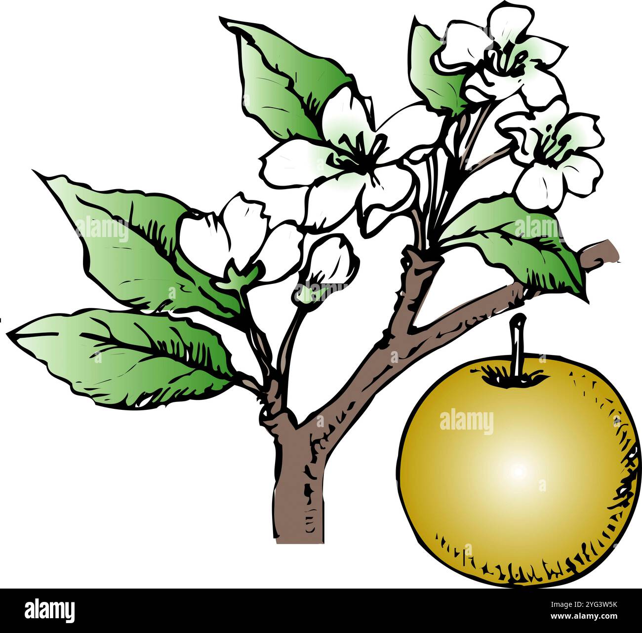 Twentieth century hand hi-res stock photography and images - Alamy