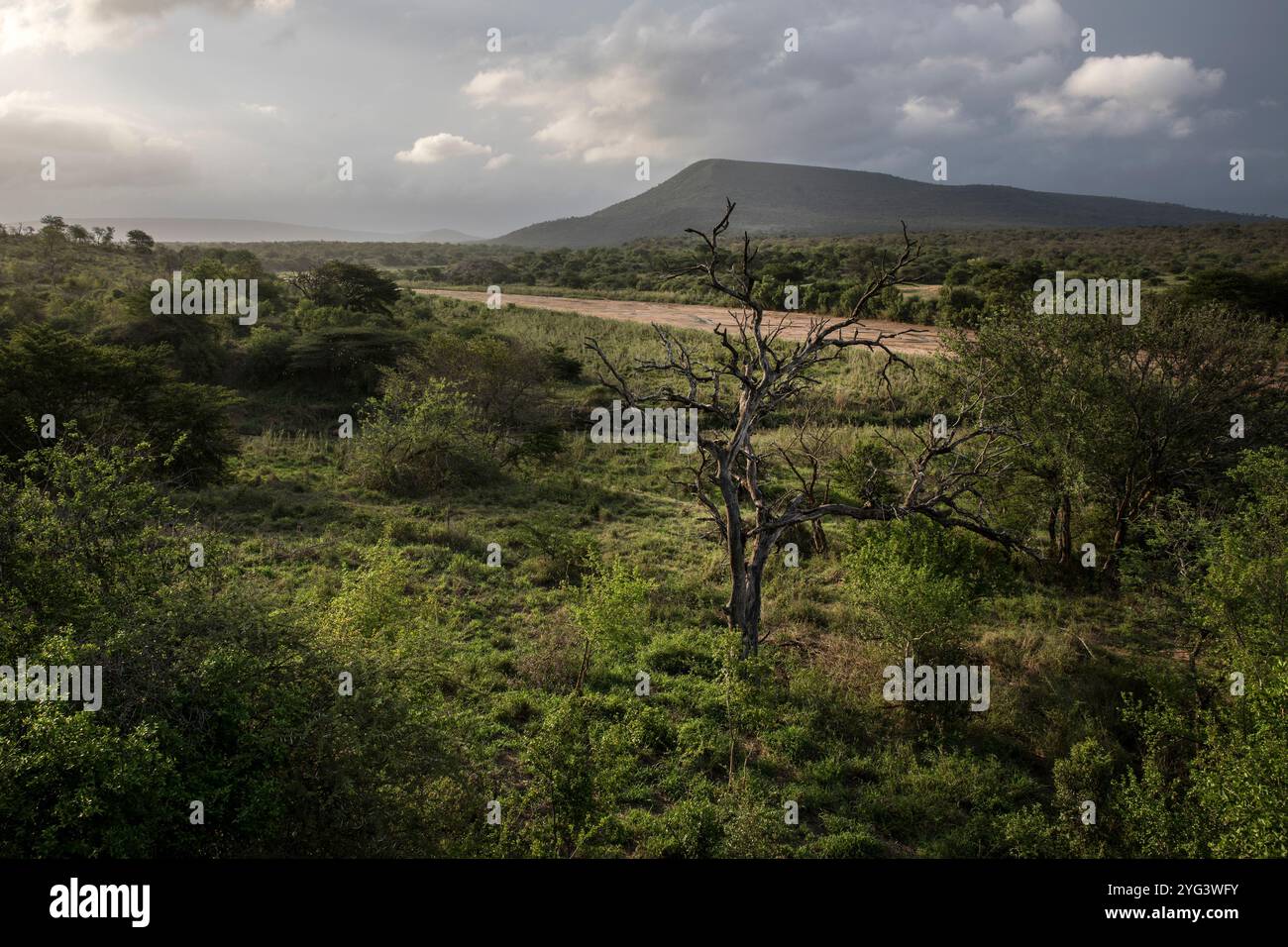 View from the Mthembu Lodge at the Umfolozi Big Five Game Reserve in ...