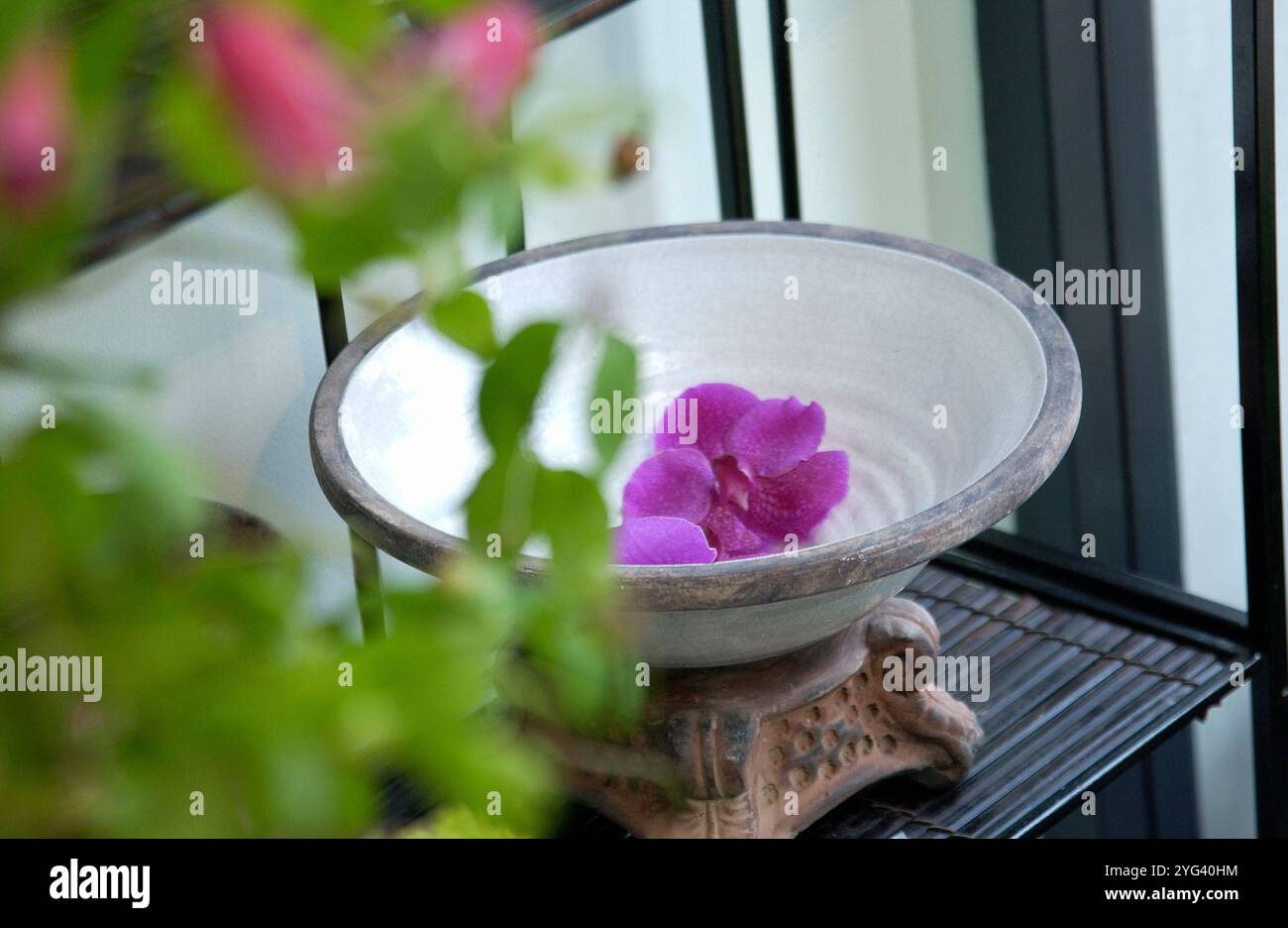 Interior of flower hi-res stock photography and images - Alamy